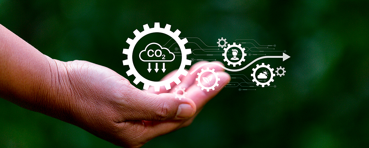 Alcance en ISO 14001: cómo determinarlo y ejemplo